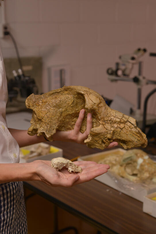 How Dogs Evolved with Climate Change | AMNH
