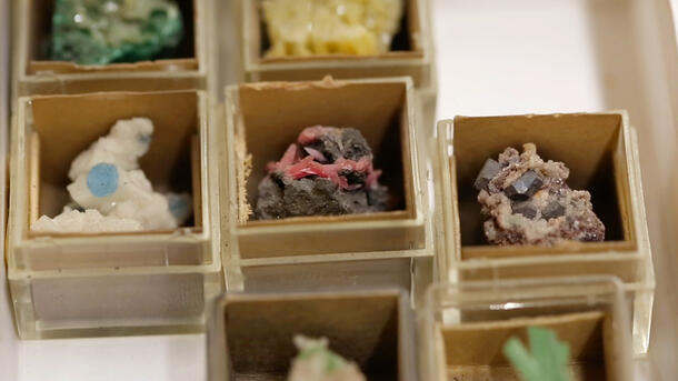 Six Ways to Prepare Specimens at the Museum | AMNH