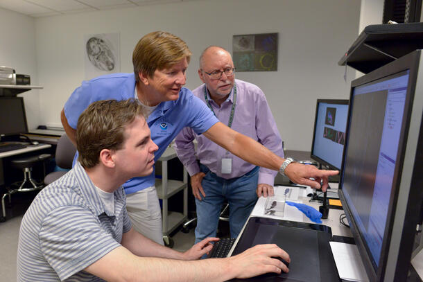 Digital Analysis of the Rare Pocket Shark | AMNH