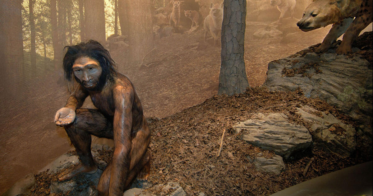 first hominids in america