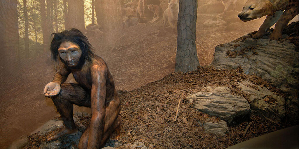 what are humans evolving towards