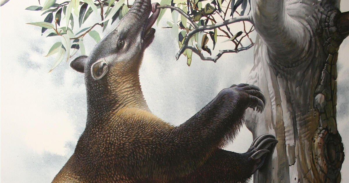 Extinction of Some of the World's Largest Animals | AMNH