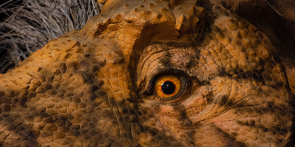 How Superior Senses Helped T. rex Hunt | AMNH