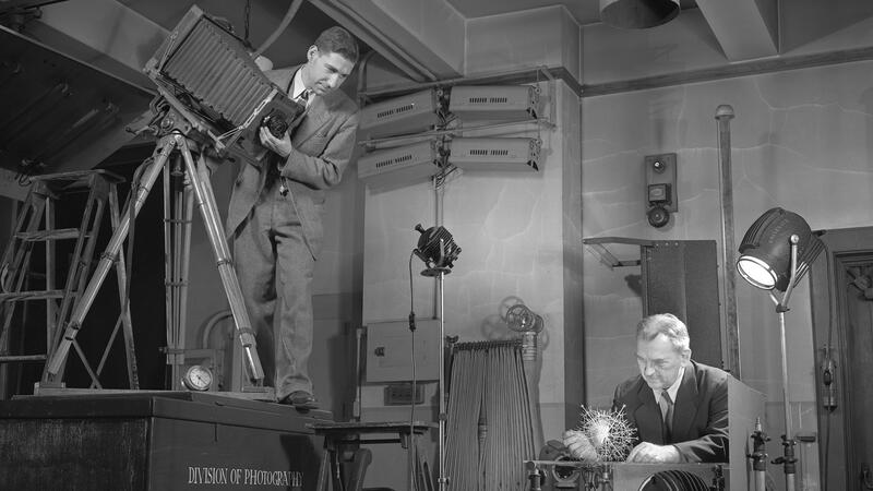 Glass Models of Microbes: The Invisible World | AMNH