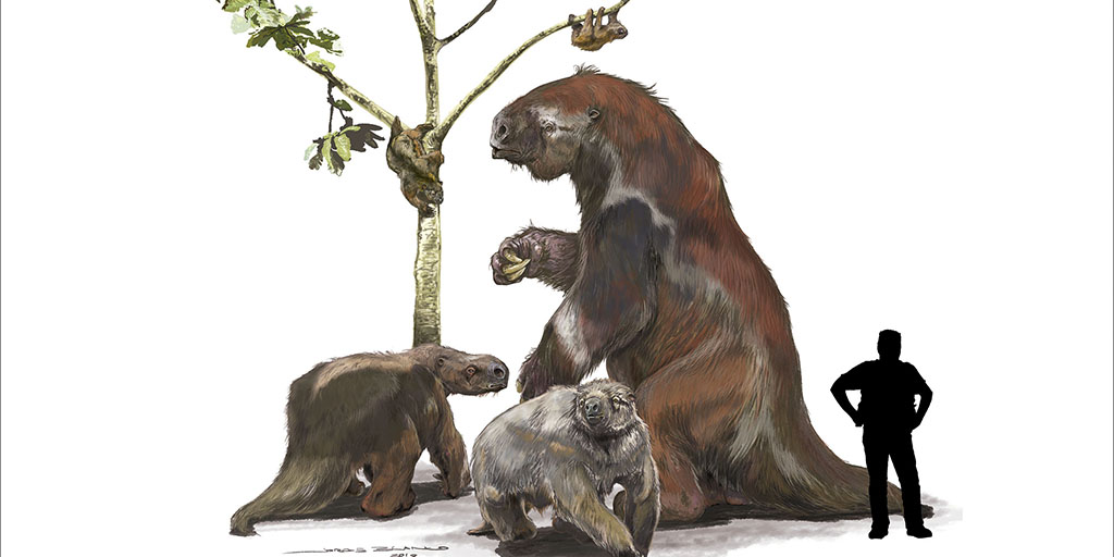 prehistoric bear sloth