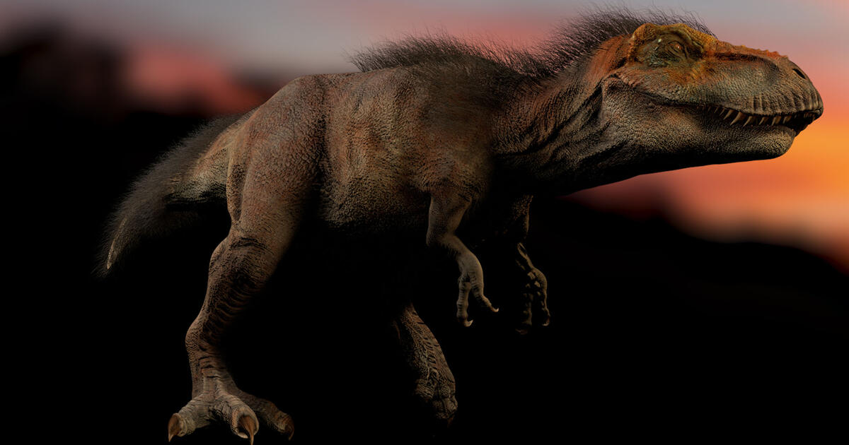 Ecology of Extinct Apex Predators - CTLE Credit, May 28 | AMNH