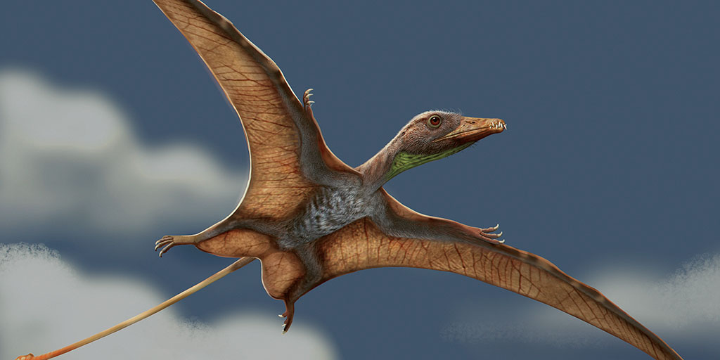 what's a pterosaur