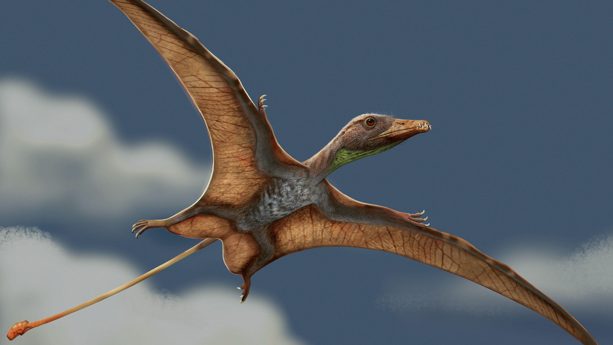 pterodactyl or pterosaur