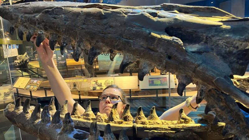 Giant Mosasaur Species from Texas Named T. rex | AMNH