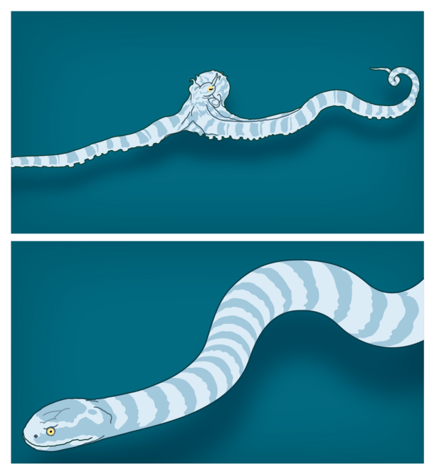 The Talented Mimic Octopus | AMNH