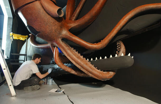 Giant Squid vs. Sperm Whale Exhibit | AMNH