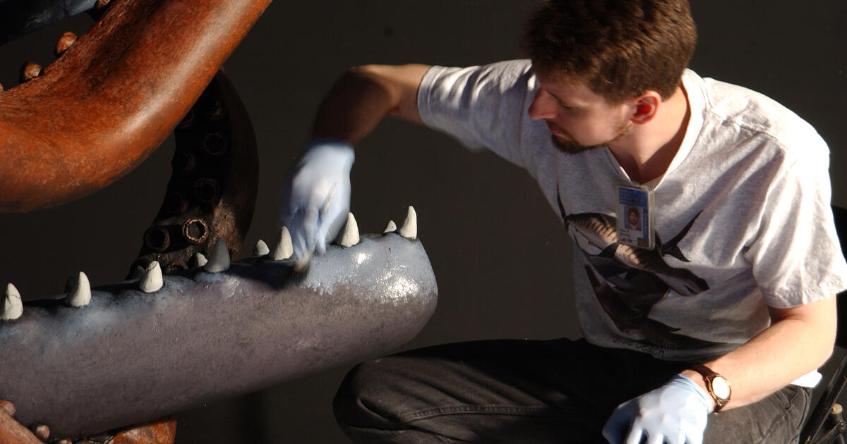 Giant Squid vs. Sperm Whale Exhibit | AMNH