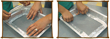 Make Your Own Paper: Activity Instructions | AMNH