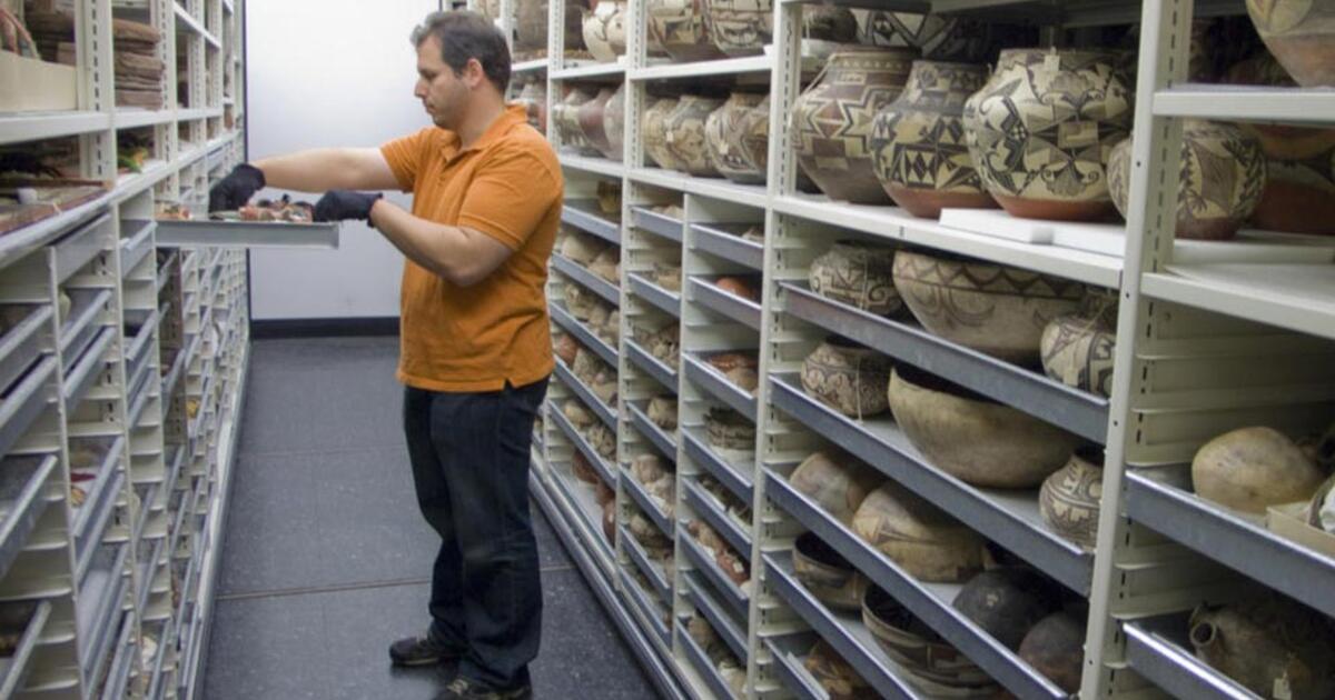 Collection Surveys: Museum Collections | AMNH