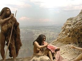 What's This? Early Humans | AMNH