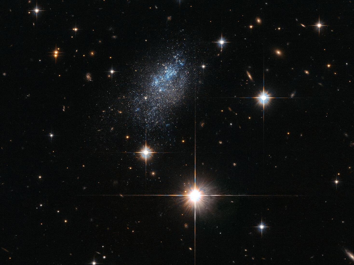 In Pictures: Journey to the Stars | AMNH