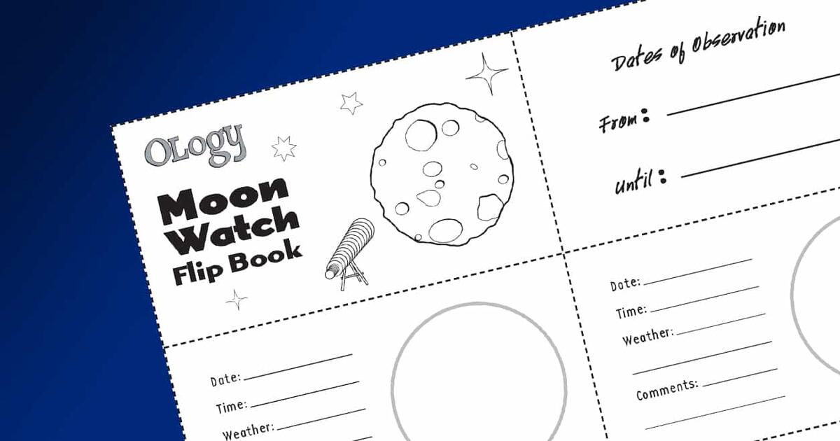 Moon Flip Book | AMNH