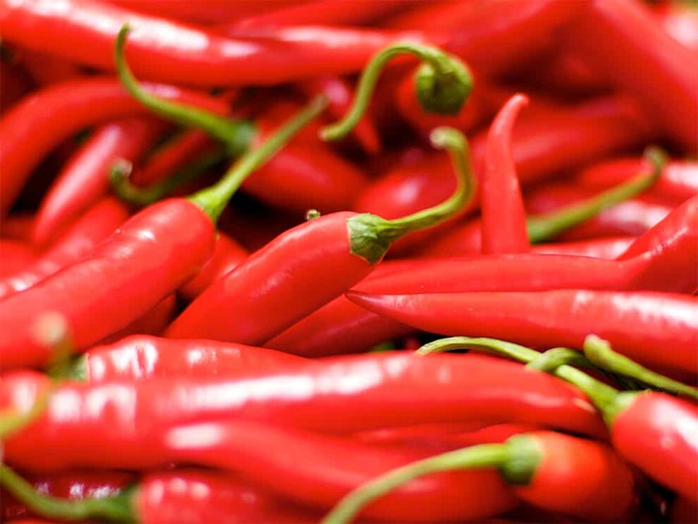 What Are Poisons? | AMNH