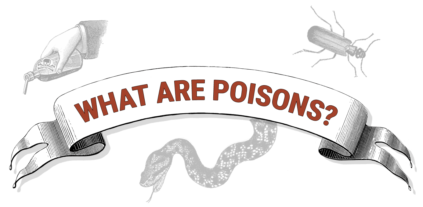 What Are Poisons? | AMNH