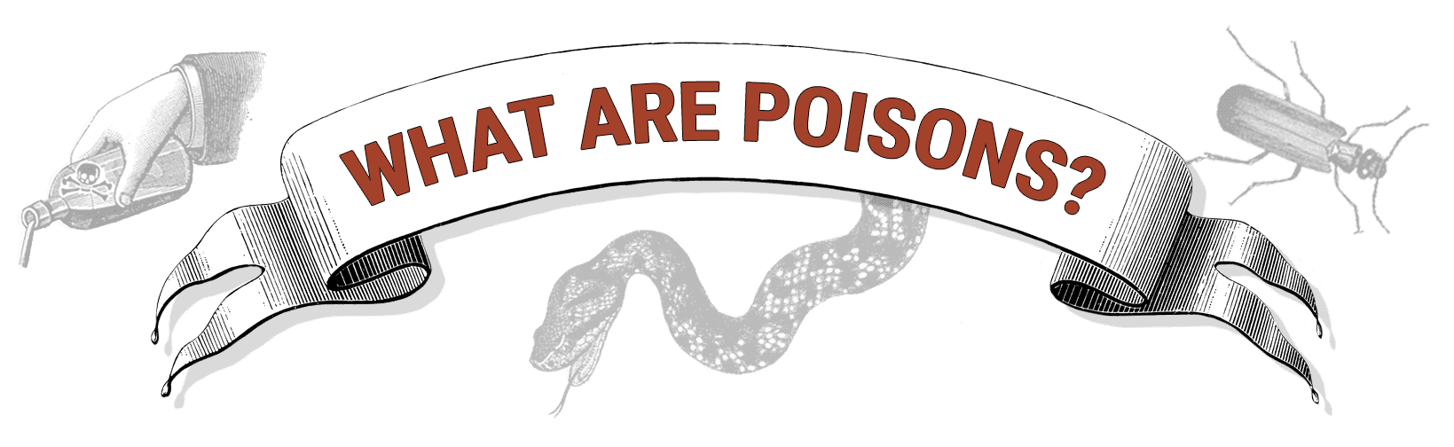 What Are Poisons? | AMNH