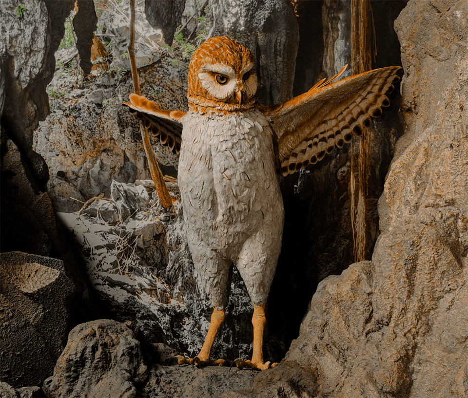 Cuba Wildlife Matching Game: Caves