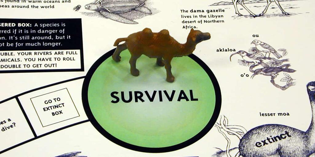 endangered species interactive