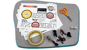 Endangered Species Game | AMNH