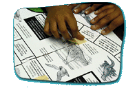 Endangered Species Game | AMNH