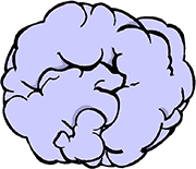 Going, Going... Gone? | AMNH