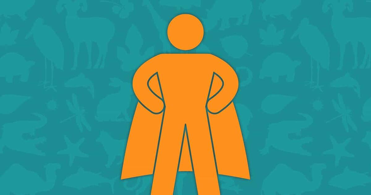 How to Help Biodiversity | AMNH