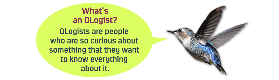 Meet the OLogist: Ana Luz Porzecanski | AMNH