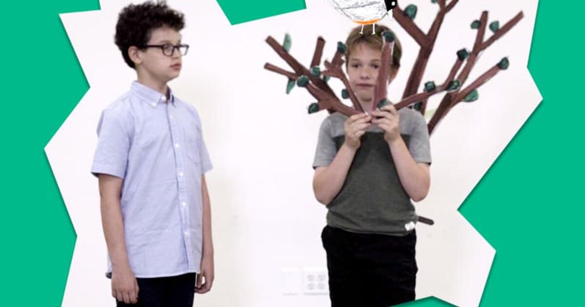 A Message from Mr. Tree | AMNH