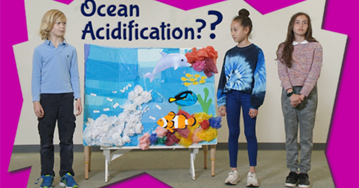 The Coral Reef Puppet Show | AMNH