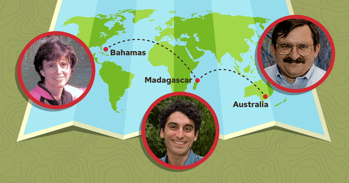 Saving Species | AMNH