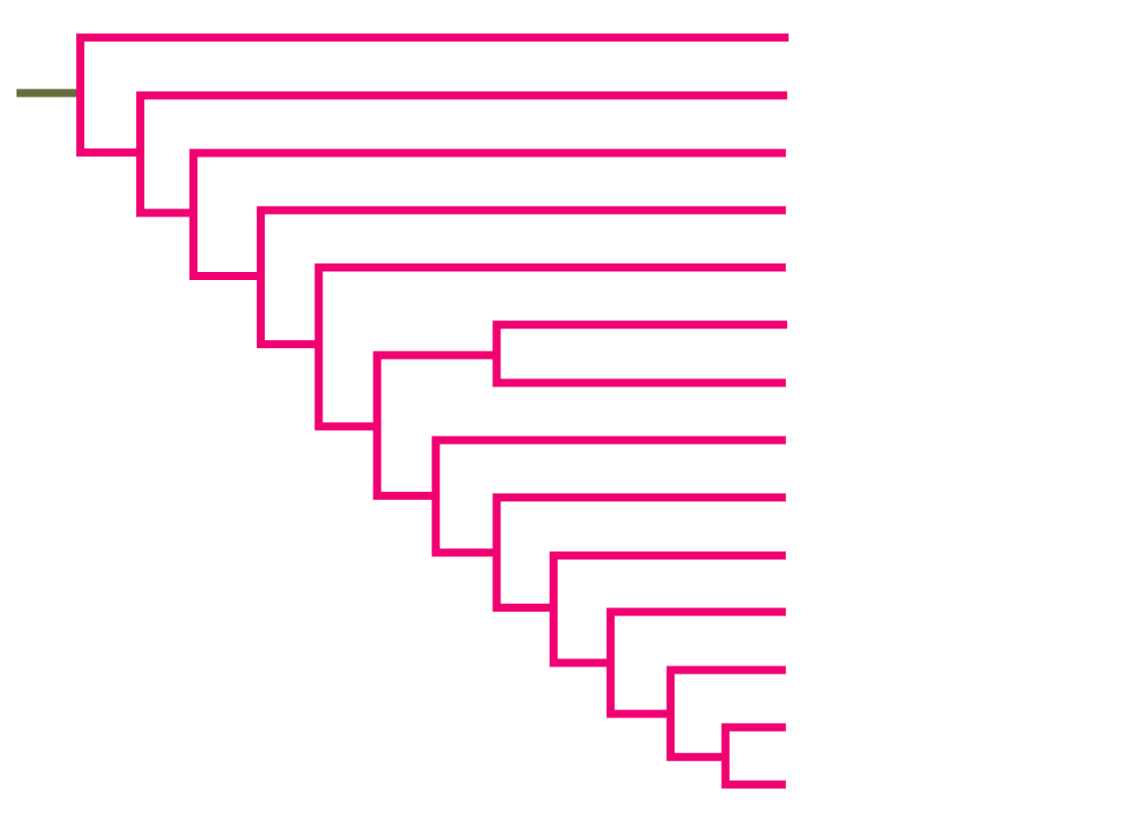How to Read a Cladogram | AMNH