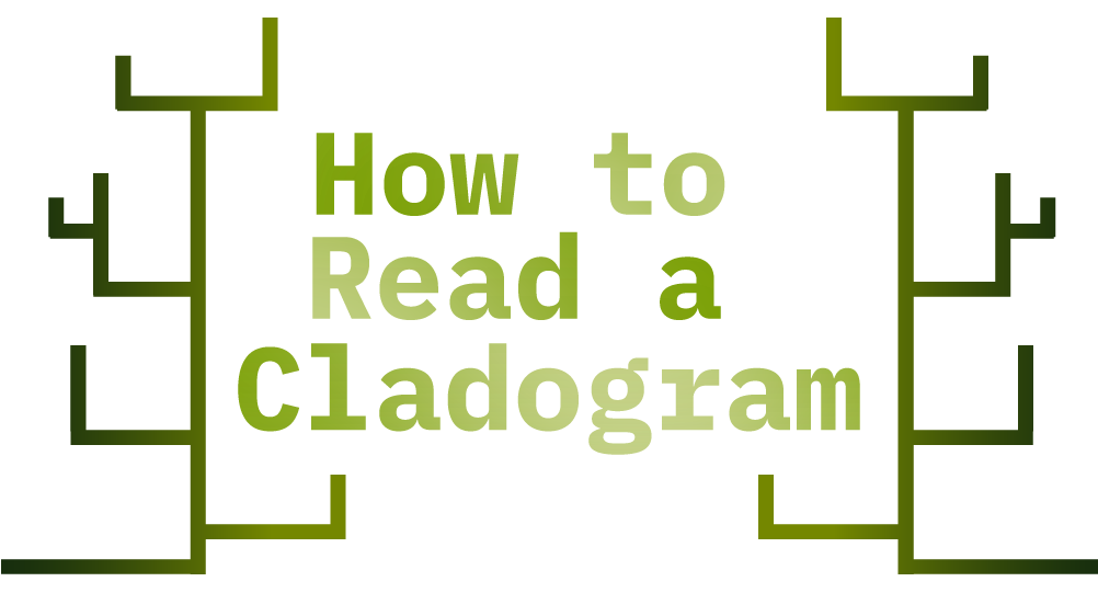 How to Read a Cladogram | AMNH