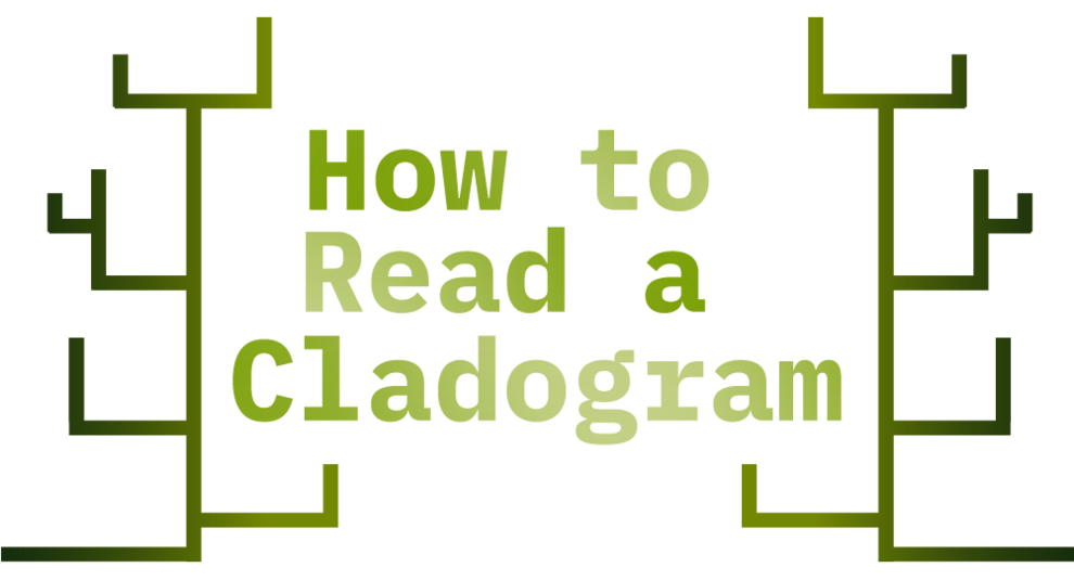 How to Read a Cladogram | AMNH