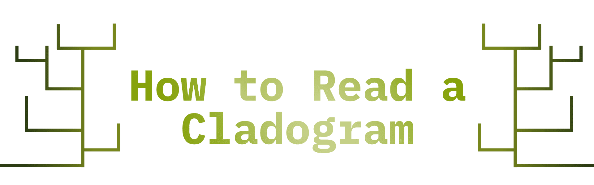 How to Read a Cladogram | AMNH