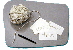 Web of Life: Activity Instructions | AMNH