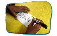 Web of Life: Activity Instructions | AMNH