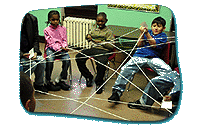 Web of Life: Activity Instructions | AMNH