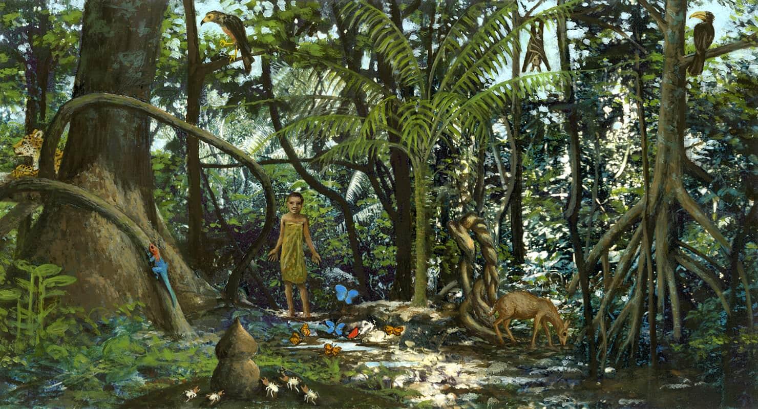 Dzanga-Sangha: Forest | AMNH