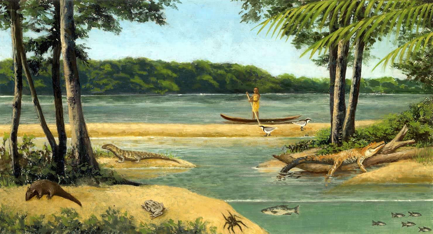 Dzanga-Sangha: River | AMNH