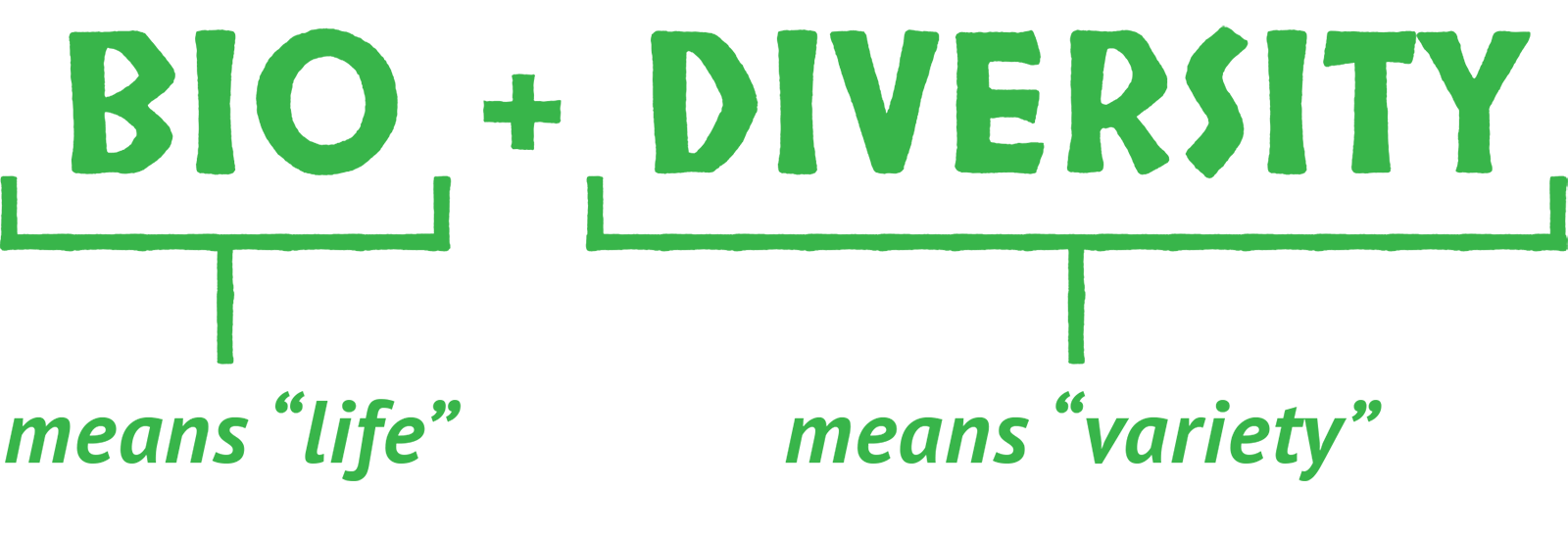 What is Biodiversity? | AMNH