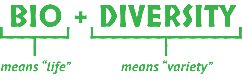 What is Biodiversity? | AMNH