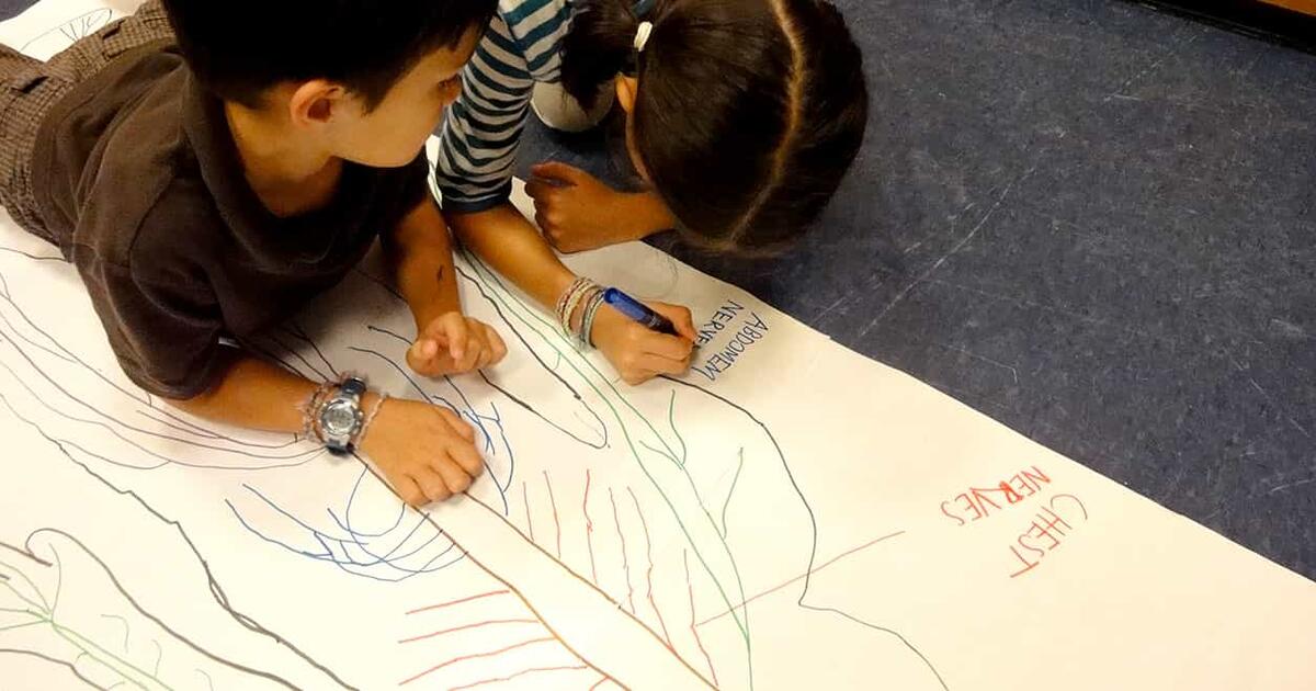 Draw Your Nervous System | AMNH