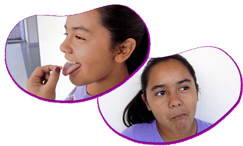 Taste a Smell Test: Activity Instructions | AMNH