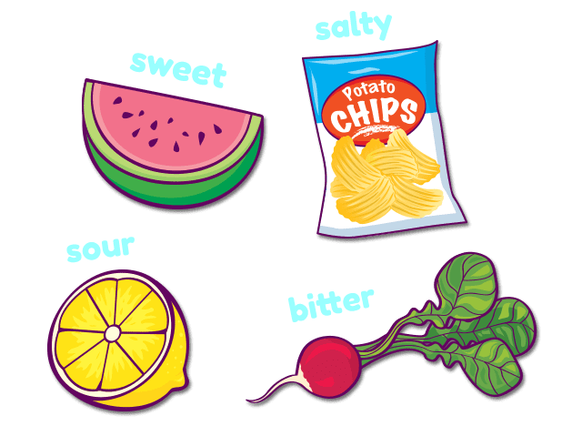 Taste a Smell Test | AMNH