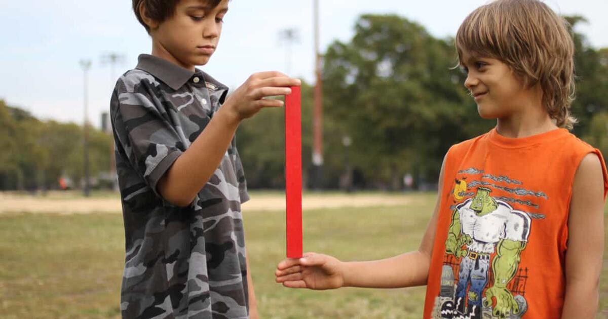 Test Your Reaction! | AMNH