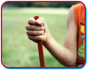 Test Your Reaction!: Instructions | AMNH